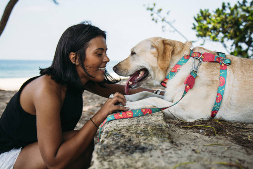 Fique em casa, e se precisar sair, conte com a PetDriver - PetDriver ...