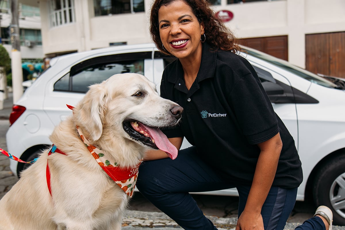 Uber Pet não existe. Conheça a PetDriver, empresa especializada em ...