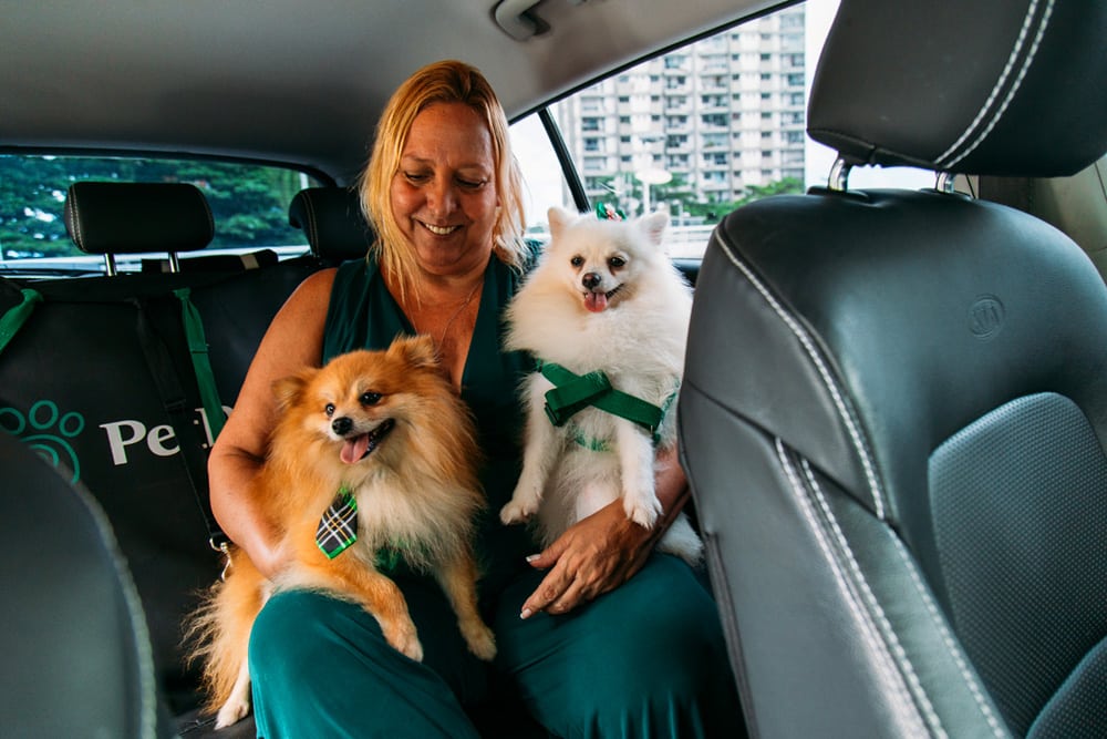 Vá com o seu pet para todos os lugares de PetDriver - PetDriver - O APP ...