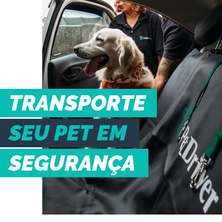 Transporte seu pet em segurança com a PetDriver