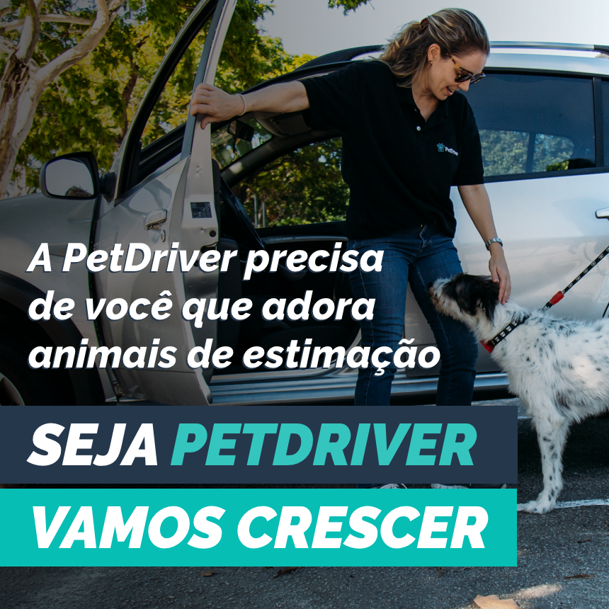 PetDriver é destaque na mídia em mobilidade urbana e transporte de ...