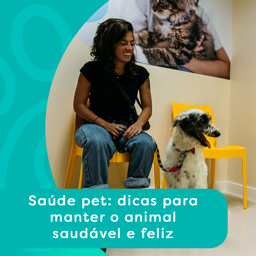 Julho é o mês da saúde dos animais na PetDriver