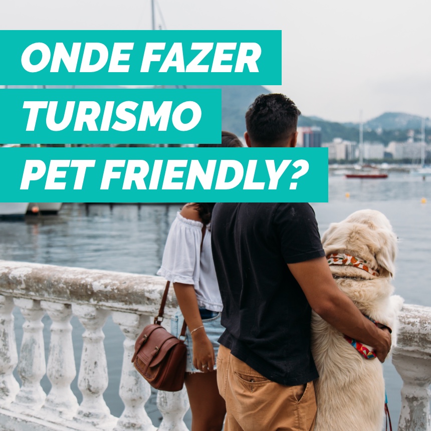 Turismo pet friendly: como se preparar e para onde ir com os pets nas ...