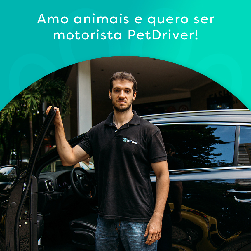 Posso ser um motorista da PetDriver sem nunca ter dirigido ...