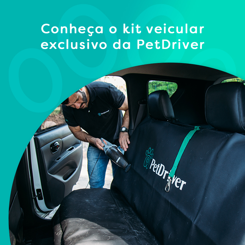 Conheça o kit veicular de proteção exclusivo da PetDriver