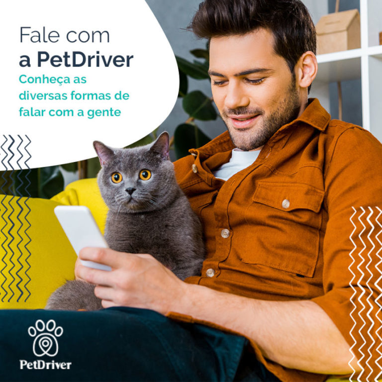 Pensou na PetDriver, pensou em transporte de animais domésticos de ...