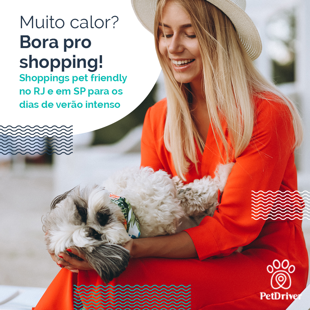 Muito calor? Bora passear no shopping! - PetDriver - O APP de ... Muito calor? Bora passear no shopping! - PetDriver - O APP de ...