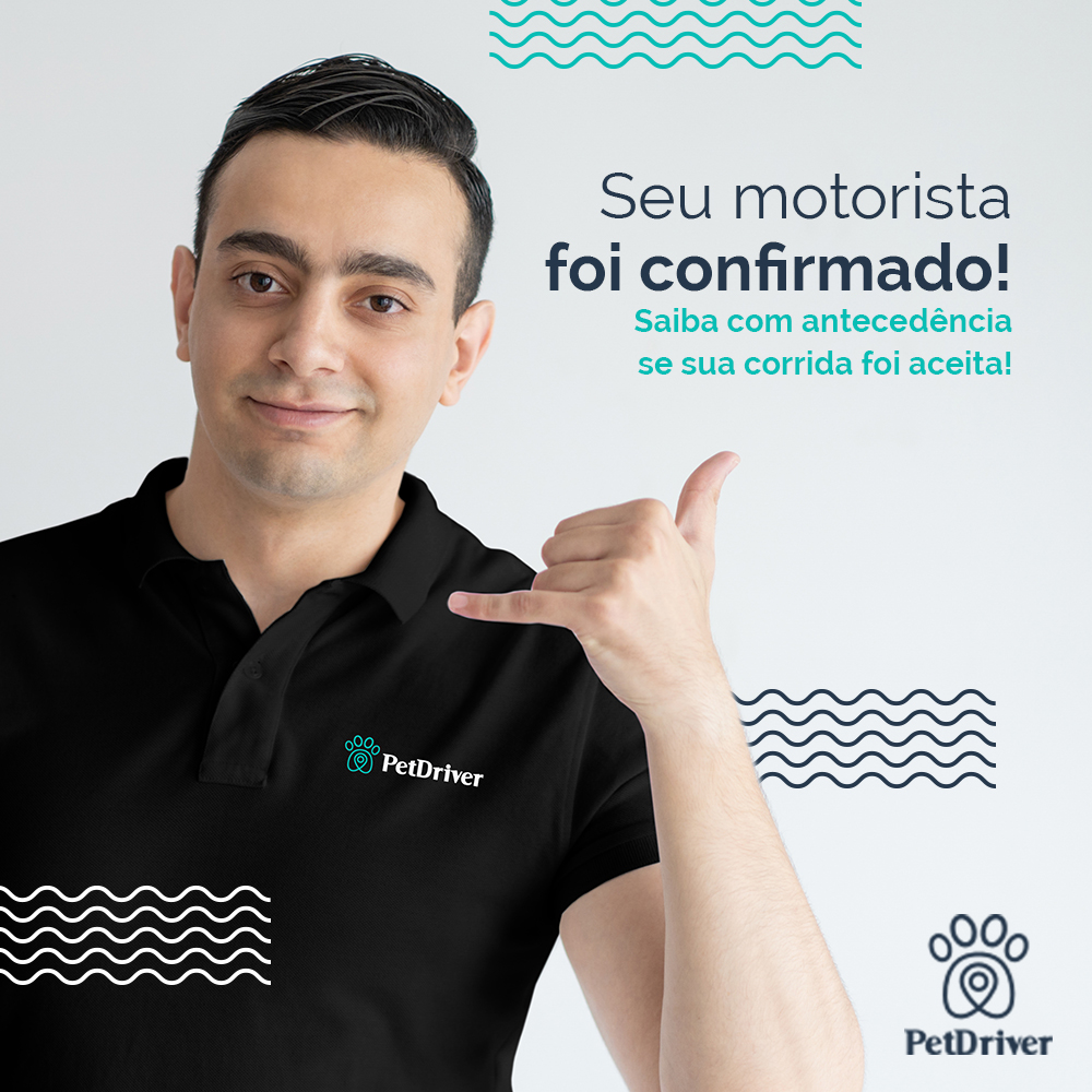 Novidades na plataforma: Seu motorista está a caminho! - PetDriver - O ...