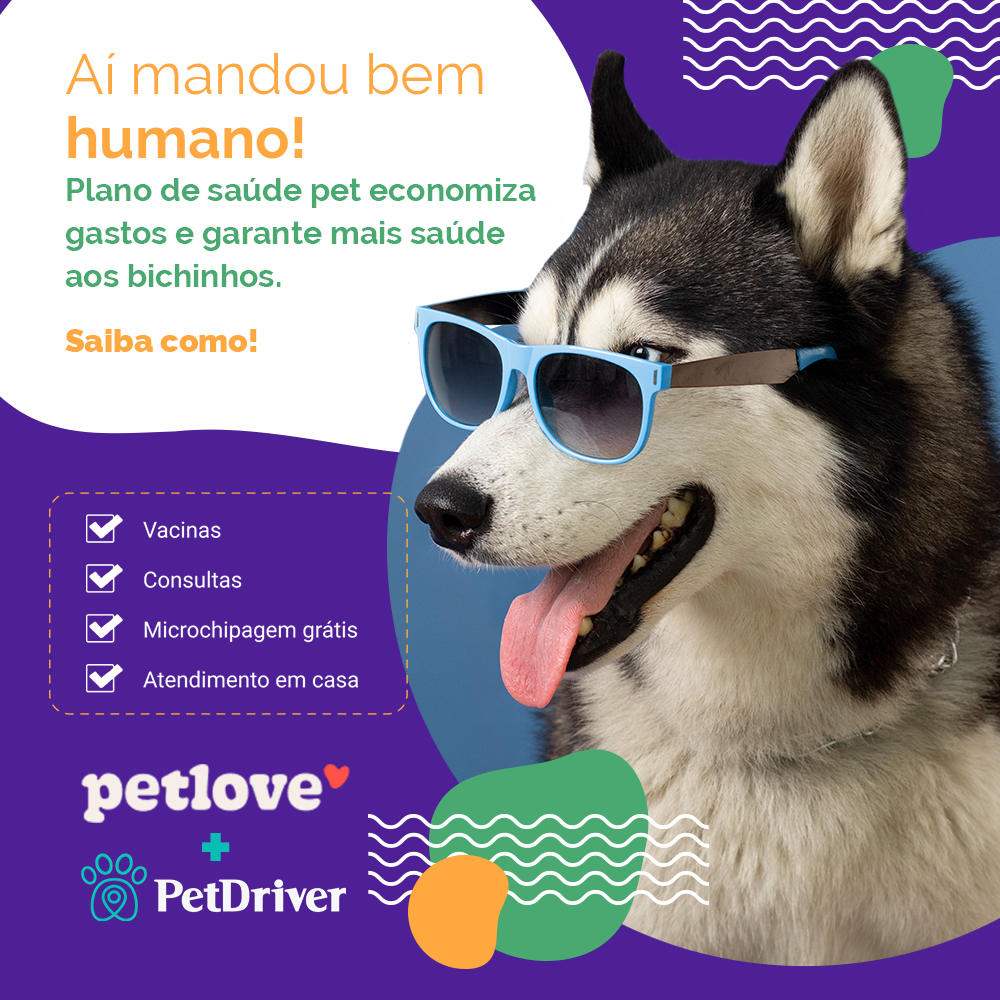 Cuidar do seu pet nunca foi tão acessível! - PetDriver - O APP de transporte para você e seu Pet