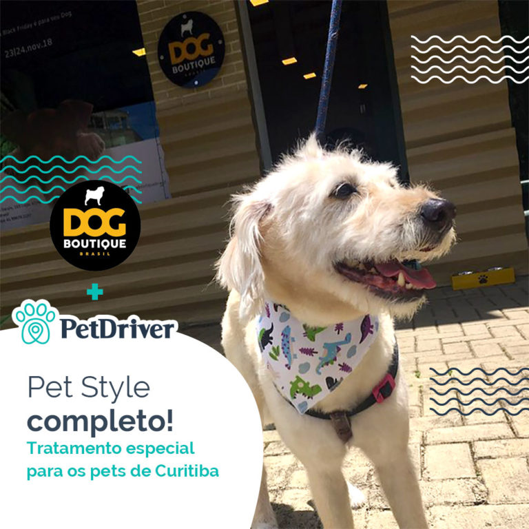 Tecnologia PetDriver ganha espaço na vida das famílias pets - PetDriver ...