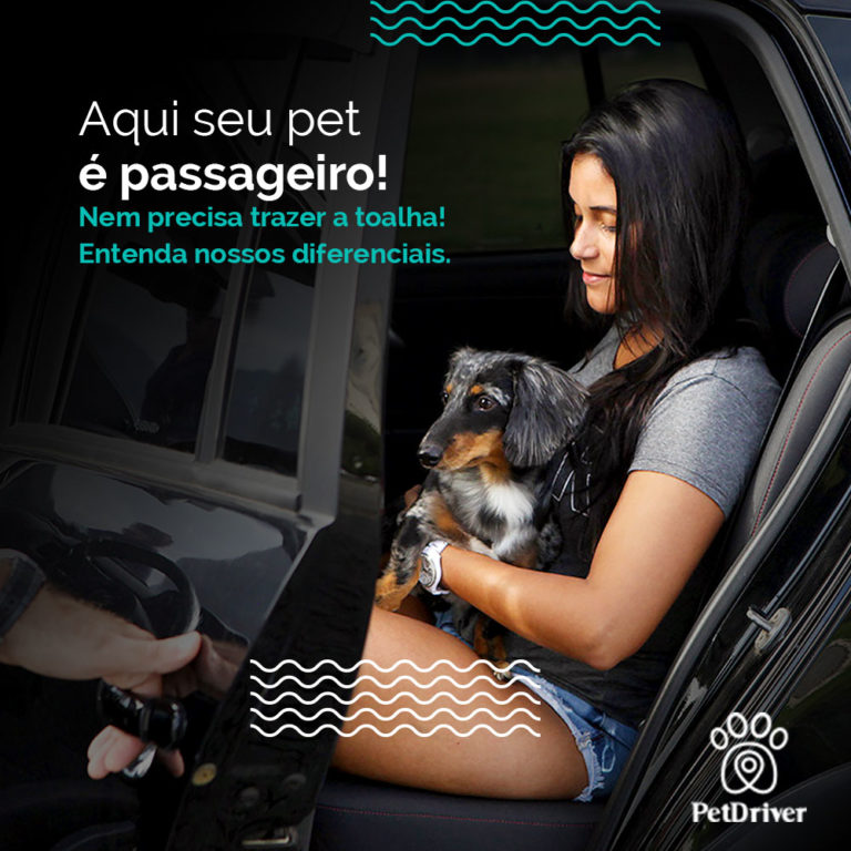 Tecnologia PetDriver ganha espaço na vida das famílias pets - PetDriver ...