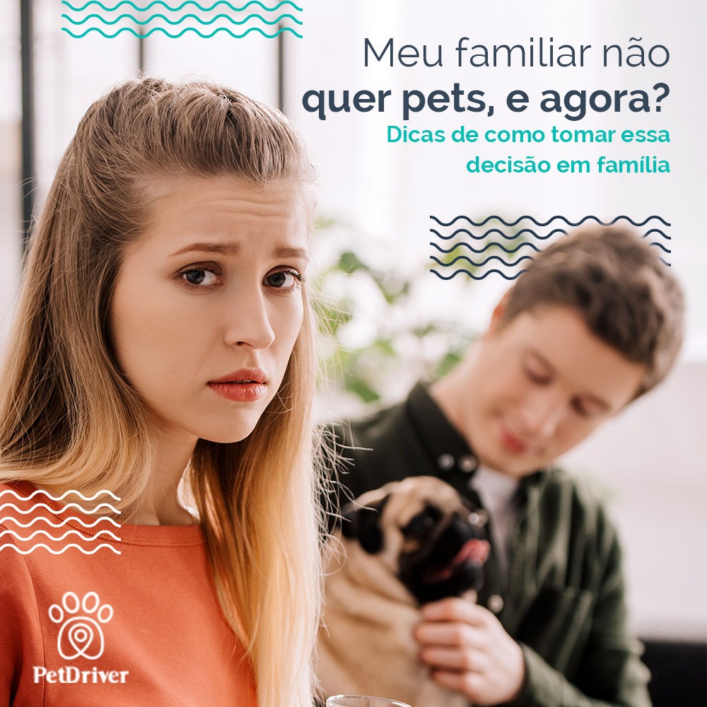 Meu familiar não quer um pet, e agora? - PetDriver - O APP de transporte para você e seu Pet