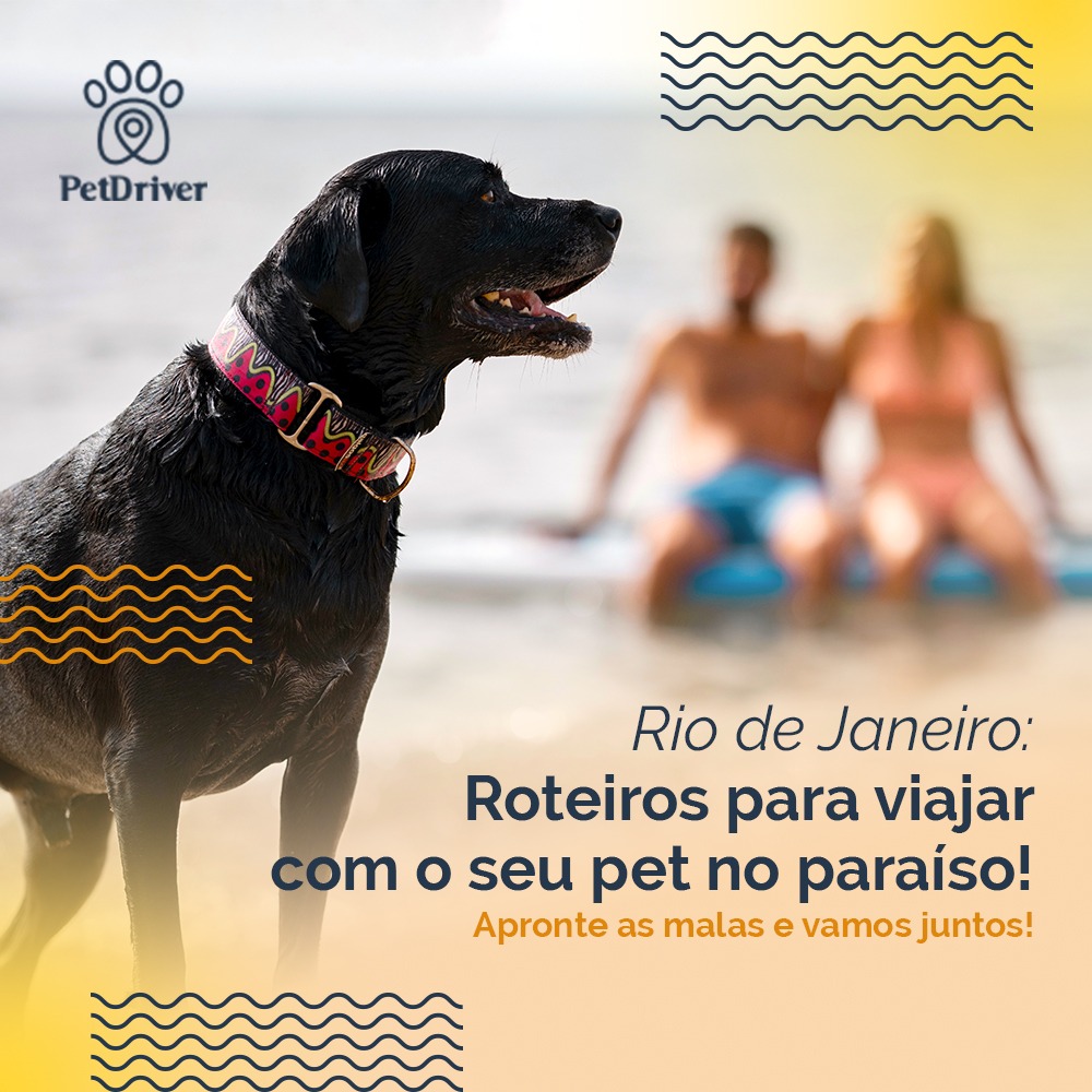 Destinos pet friendly para curtir no Rio de Janeiro! - PetDriver - O ...